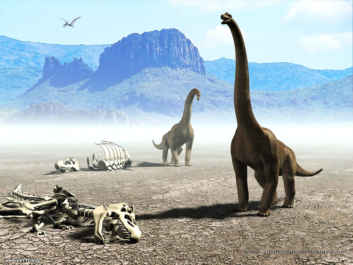 Dinosaurus achtergronden HD 🔥 Gratis afbeeldingen