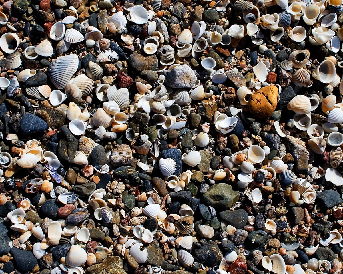 50+ Kiezelsteen achtergronden HD | Gratis afbeeldingen