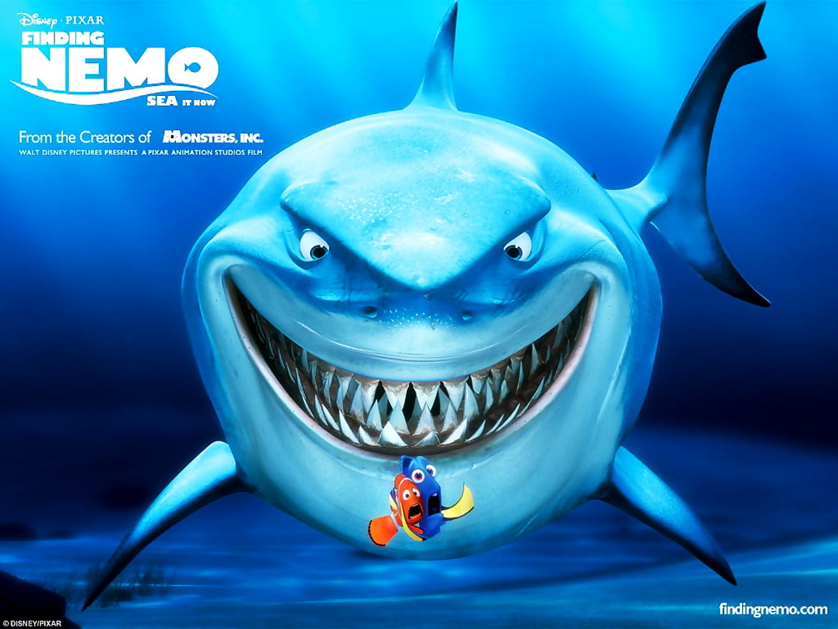 Bureaublad achtergrond Finding Nemo, Vis, Haai | Download achtergronden