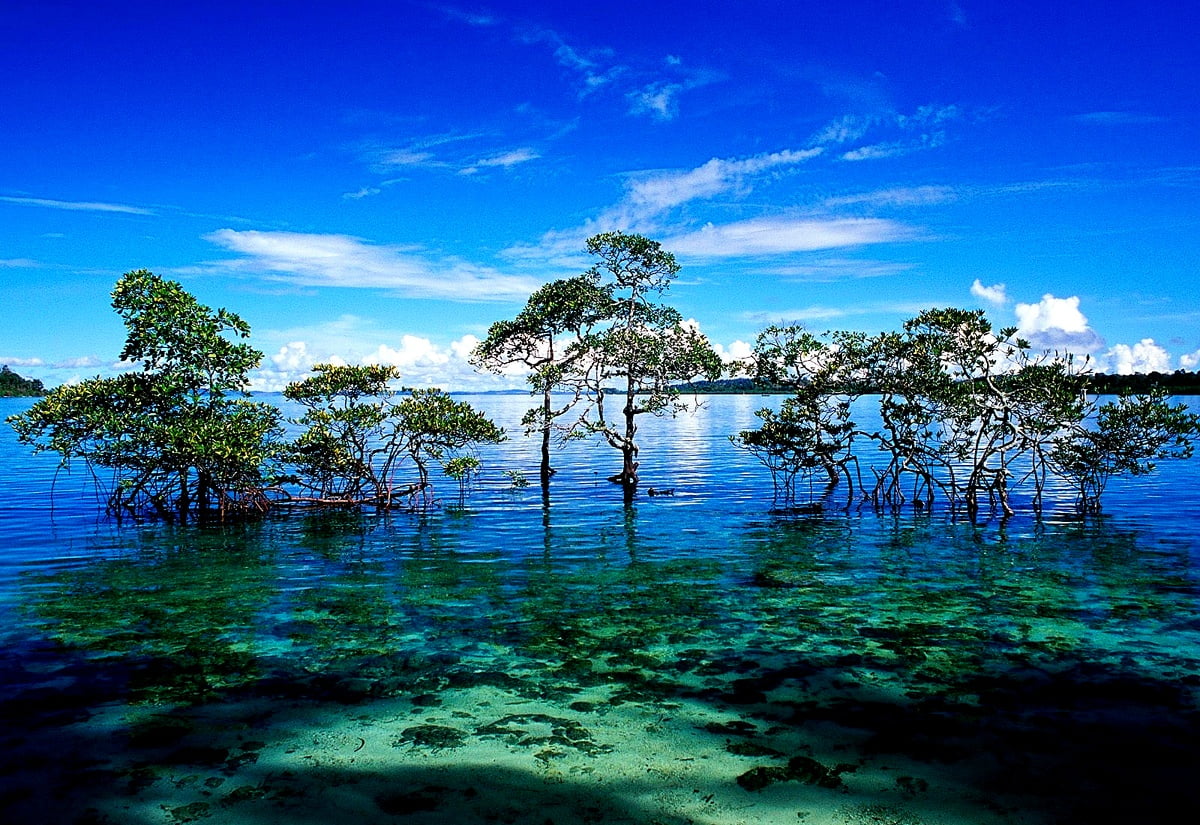 1200+ Coole achtergronden Zee | Gratis foto's