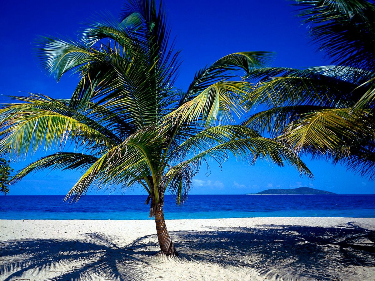 1200+ HD achtergronden Strand | Gratis afbeeldingen