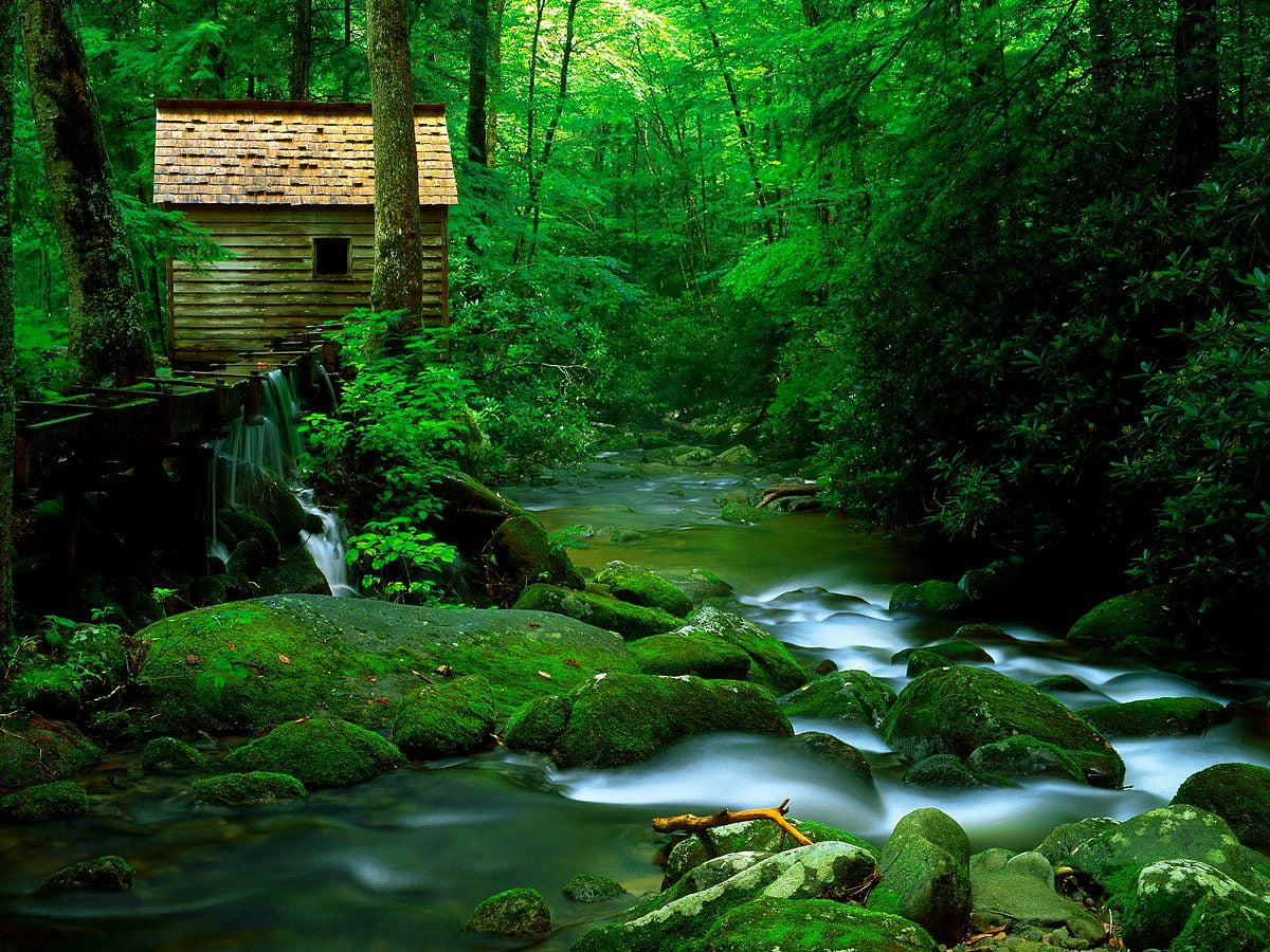 Natuur, Landschappen, Stroom achtergrond | Gratis TOP achtergronden