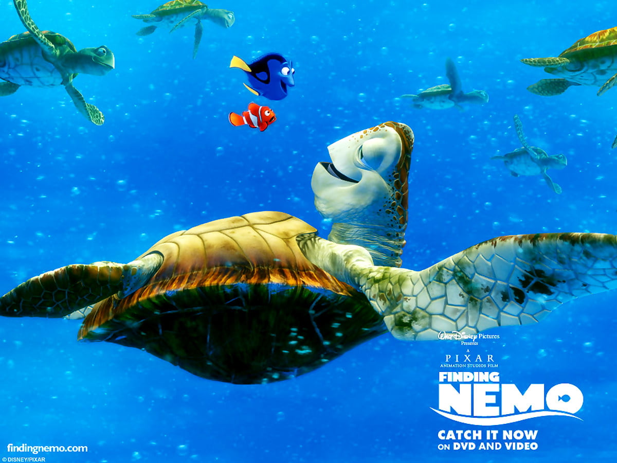 Finding Nemo, Zeeschildpad, Soepschildpad bureaublad achtergrond ...