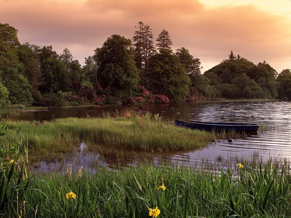 2000+ Coole achtergronden Natuur | Gratis foto's