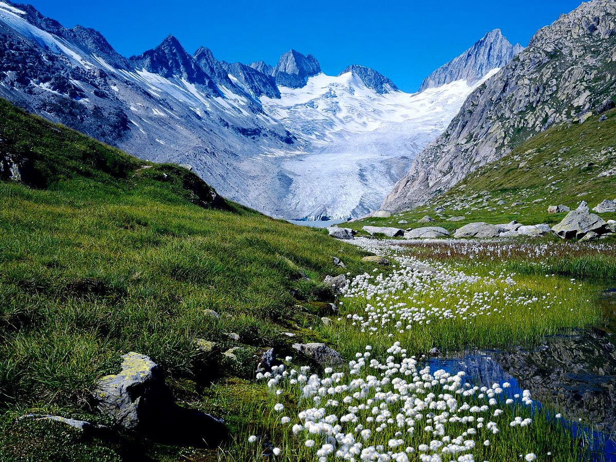 1800+ HD achtergronden Bergen | Gratis afbeeldingen