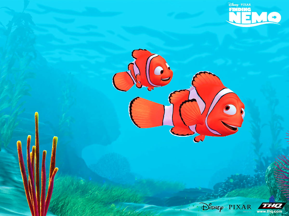 Finding Nemo achtergronden HD | Gratis afbeeldingen