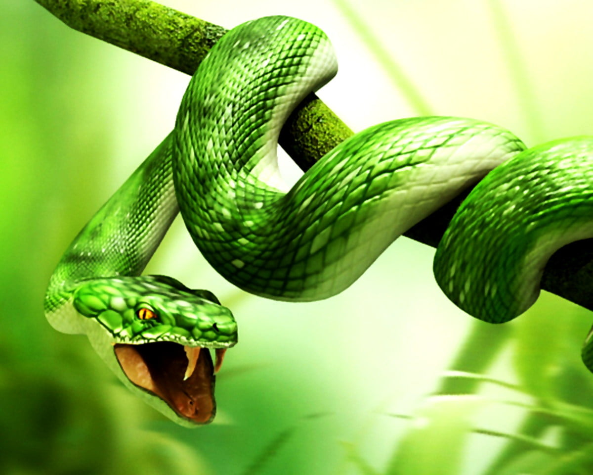 Vliegende slangen achtergronden HD | Gratis afbeeldingen