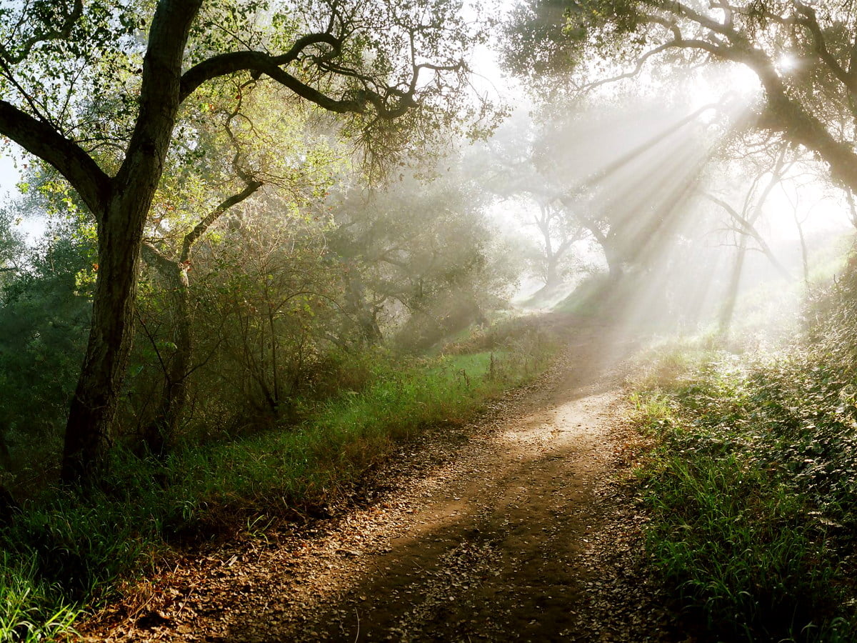 2000+ HD achtergrond foto's Natuur 🔥 Gratis achtergronden