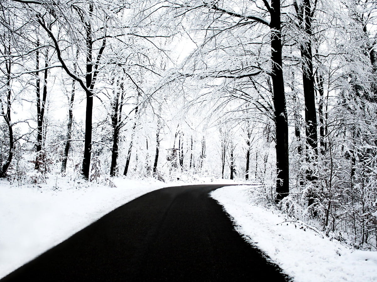 320+ HD achtergronden Winter | Gratis afbeeldingen