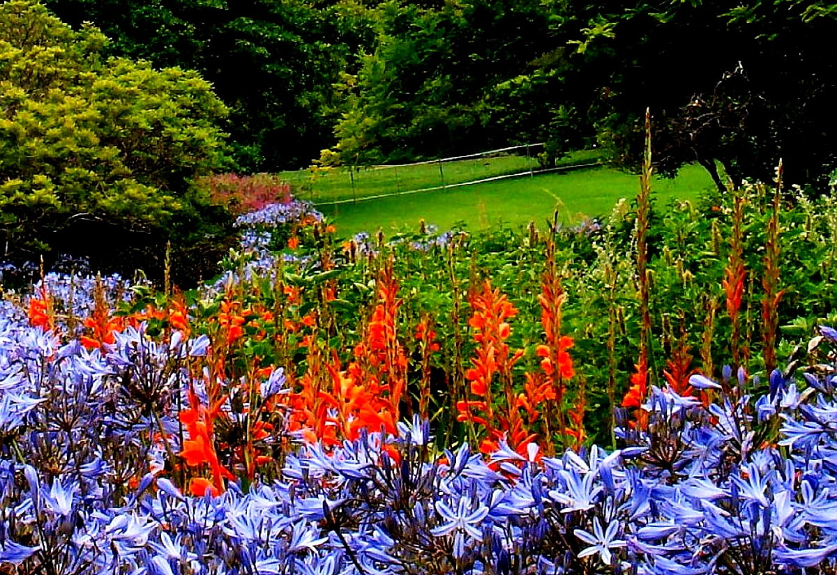 30+ Botanische tuin achtergronden HD 🔥 Gratis afbeeldingen