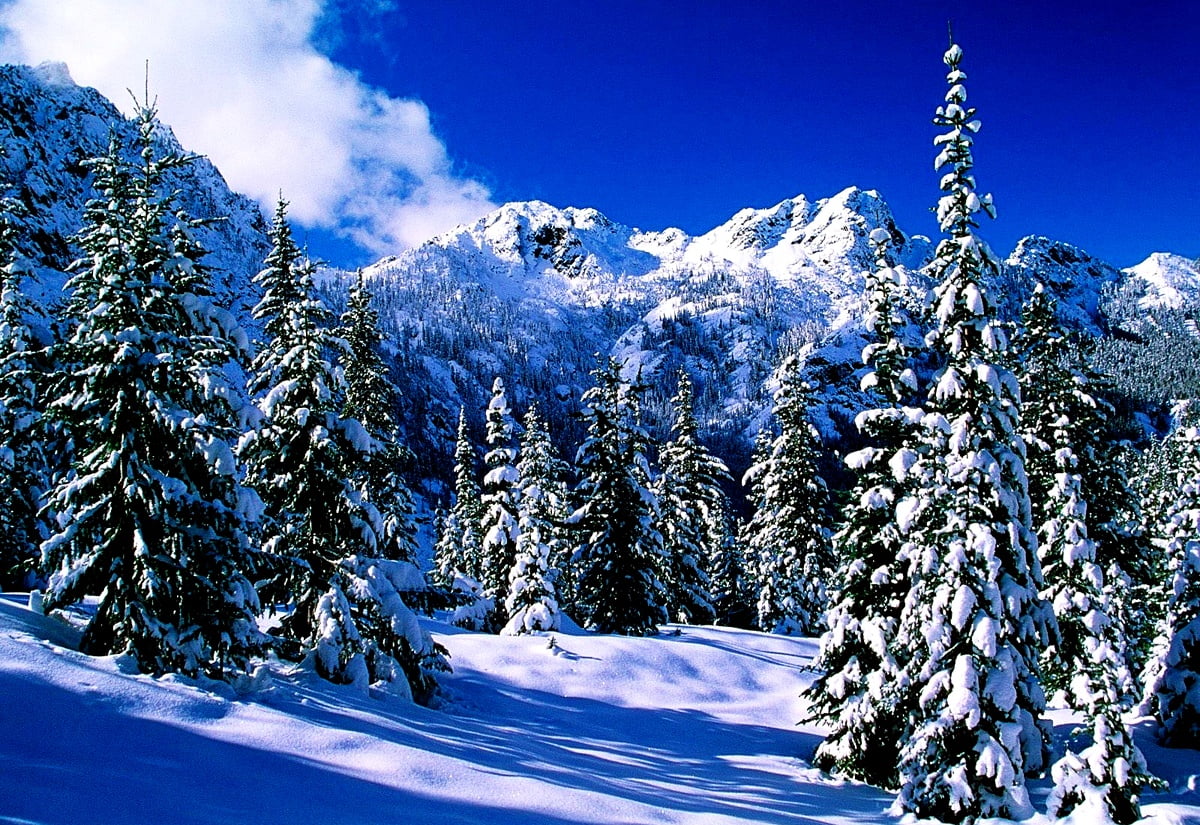 320+ Bureaublad achtergronden Winter 🔥 Gratis wallpapers