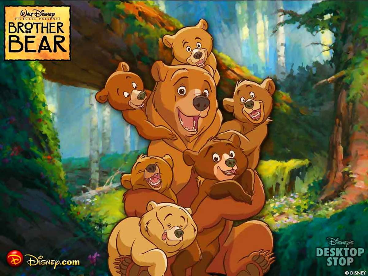 Geanimeerde Cartoon, Tekenfilms, Beer bureaublad achtergrond 1440x900 ...