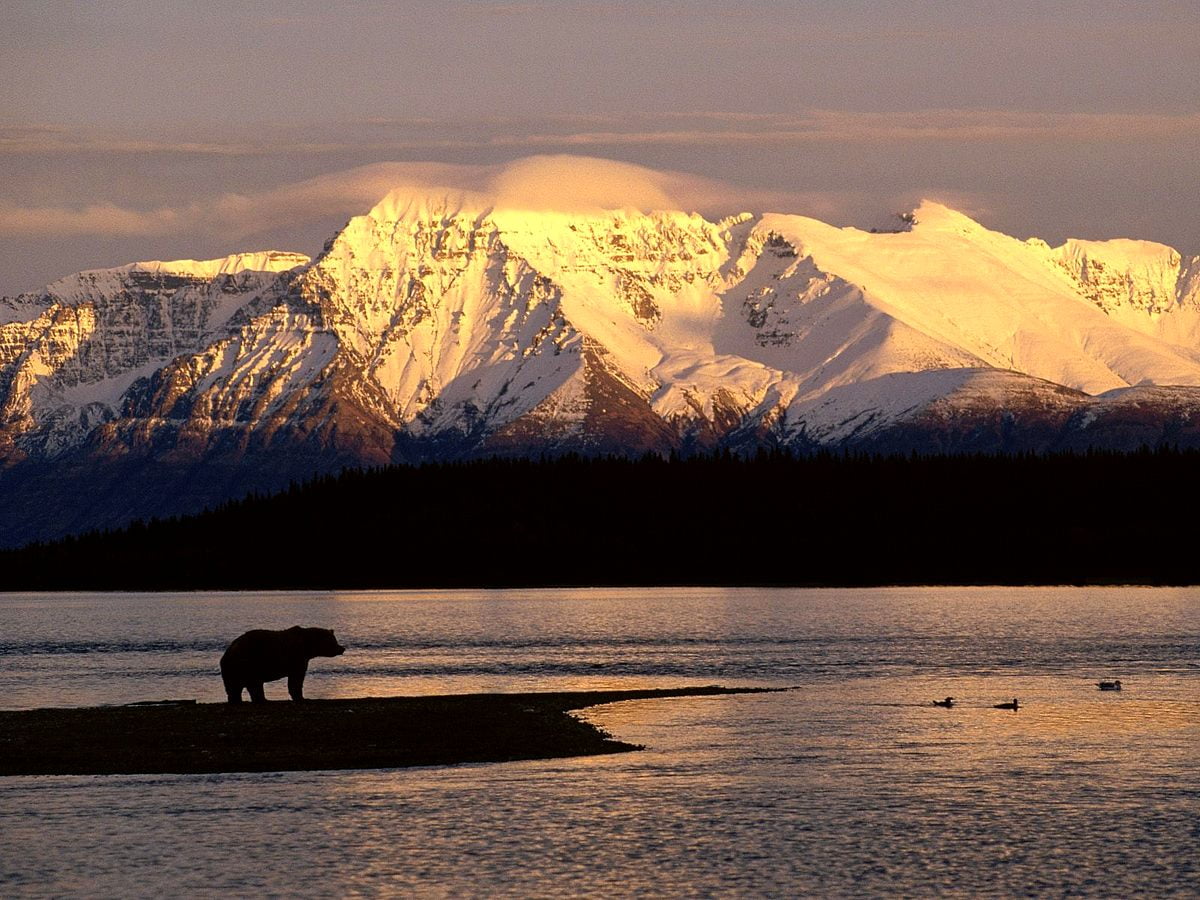 Alaska, Bergen, Sneeuw achtergrond | TOP Gratis achtergronden