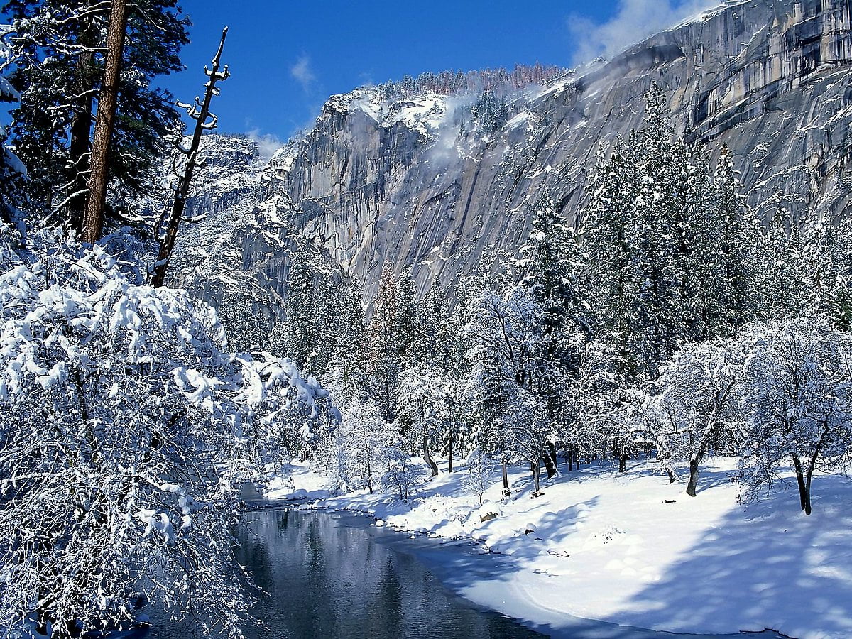 320+ HD achtergronden Winter | Gratis afbeeldingen