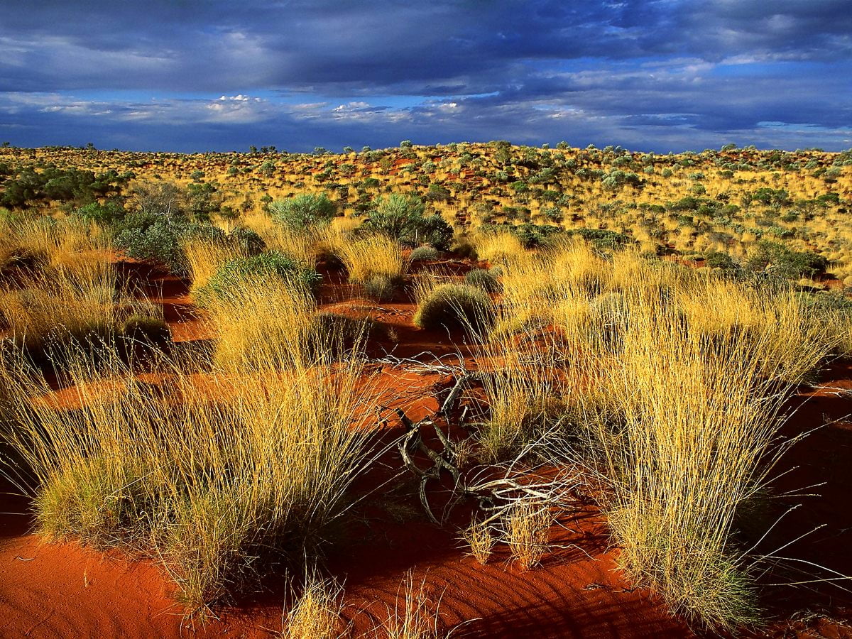Scrubland achtergronden HD | Gratis afbeeldingen