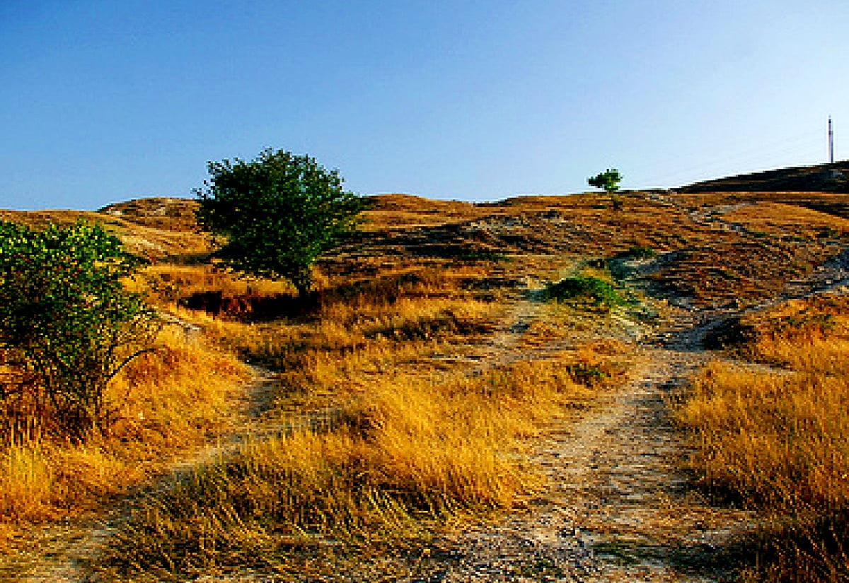 Scrubland achtergronden HD | Gratis afbeeldingen