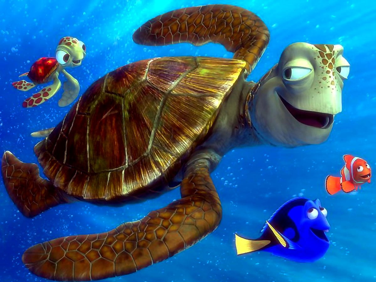 Finding Nemo achtergronden HD | Gratis afbeeldingen