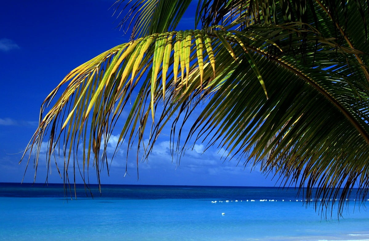 Strand, Natuur, Tropen achtergrond | TOP Gratis achtergronden